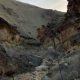 Timber Gulch, Oregon - 61 Reviews, Map | AllTrails