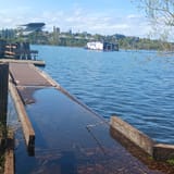 Foster Island Trail, Washington - 595 Reviews, Map | AllTrails