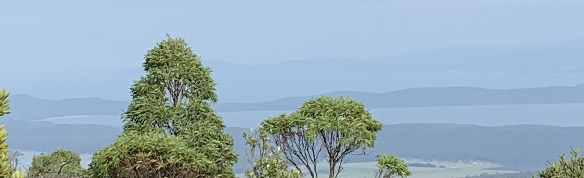 Mount Mangana Track: 47 Reviews, Map - Tasmania, Australia | AllTrails