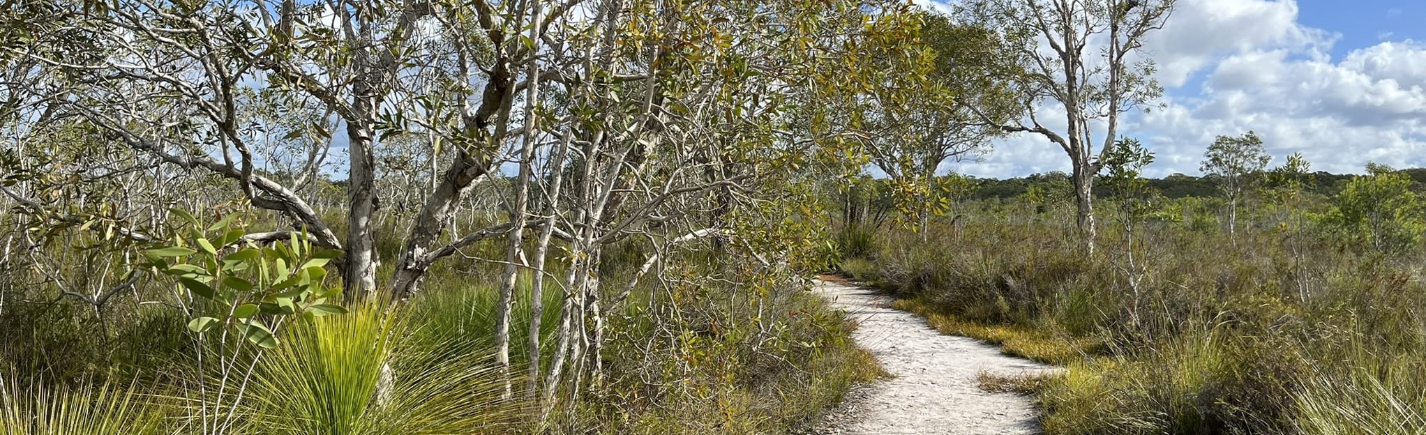 Cooloola Great Walk: Segment 1, Queensland, Australia - 122 Reviews ...