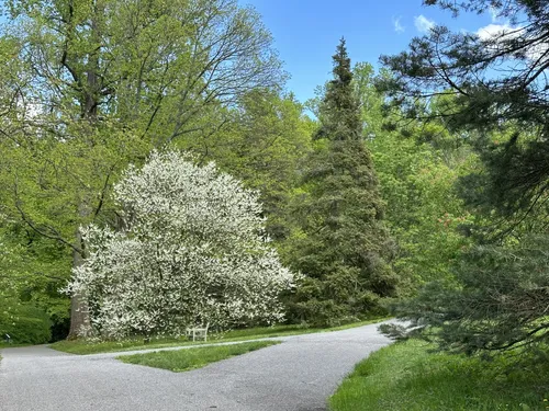 Best Hikes and Trails in Tyler Arboretum | AllTrails