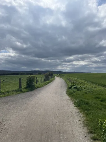 10 Best Mountain Biking Trails in Kent | AllTrails