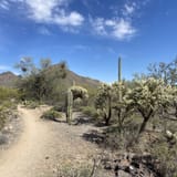 Gilbert Ray Campground Trail, Arizona - 162 Reviews, Map | AllTrails