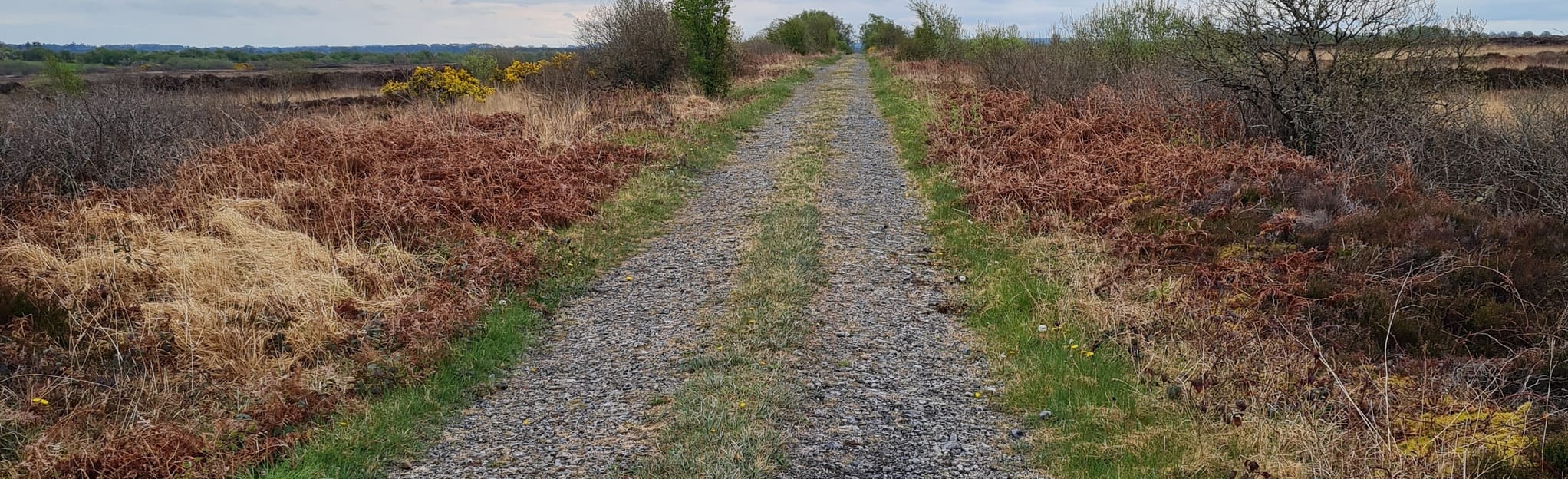 Castlerea Bog Trail: 4 Reviews, Map - County Roscommon, Ireland | AllTrails