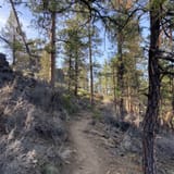 Peterson Ridge Trail, Oregon - 493 Reviews, Map | AllTrails