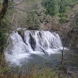 Beaver Falls, Washington - 240 Reviews, Map | AllTrails