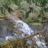 Beaver Falls, Washington - 240 Reviews, Map | AllTrails