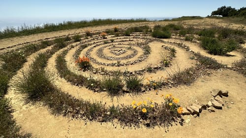 Best Hikes and Trails in Tuna Canyon Park | AllTrails