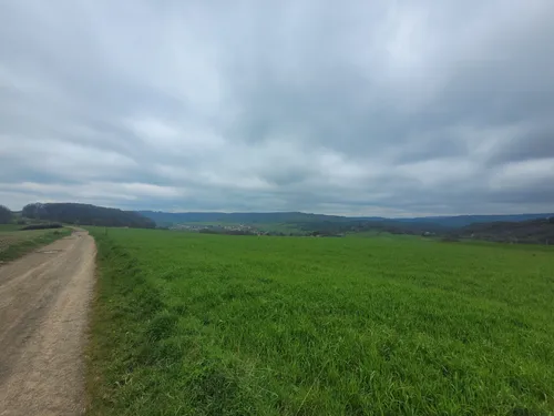 2023 Best Historic Site Trails in Ruthweiler | AllTrails