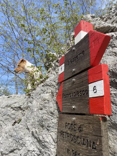 2023 Best Waterfall Trails in Fabbriche di Vergemoli | AllTrails