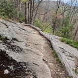 Spy Rock Trail via Cash Hollow, Virginia - 557 Reviews, Map | AllTrails