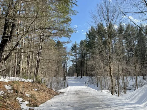 Best Hikes and Trails in Larose Forest | AllTrails