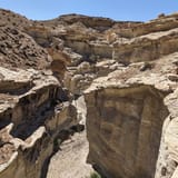 Wiregrass Canyon, Utah - 159 Reviews, Map | AllTrails