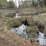 Pudding Pond Loop, New Hampshire - 292 Reviews, Map | AllTrails