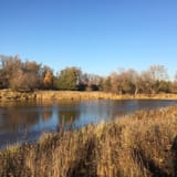 Snyder Flats Loop, Ontario, Canada - 551 Reviews, Map | AllTrails