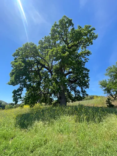 Best Easy Trails in Paramount Ranch | AllTrails