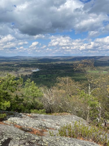 2023 Best Views Trails in Mount Everett State Reservation | AllTrails