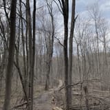 Pinhey Forest 31 Trail, Ontario, Canada - 616 Reviews, Map | AllTrails