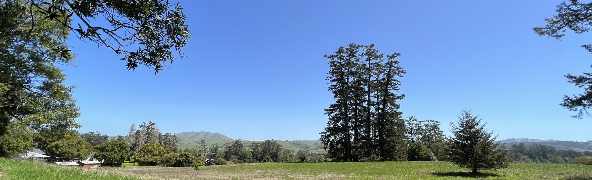 Woodpecker Trail, California - 50 Reviews, Map | AllTrails