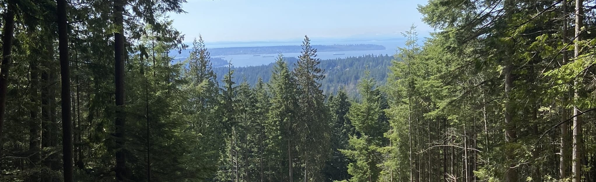 BCMC Trail: 2396 Reviews, Map - British Columbia, Canada | AllTrails