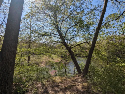 2023 Best Moderate Trails in Kickapoo State Park | AllTrails