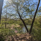 Kickapoo Mountain Bike Trail, Illinois - 128 Reviews, Map | AllTrails