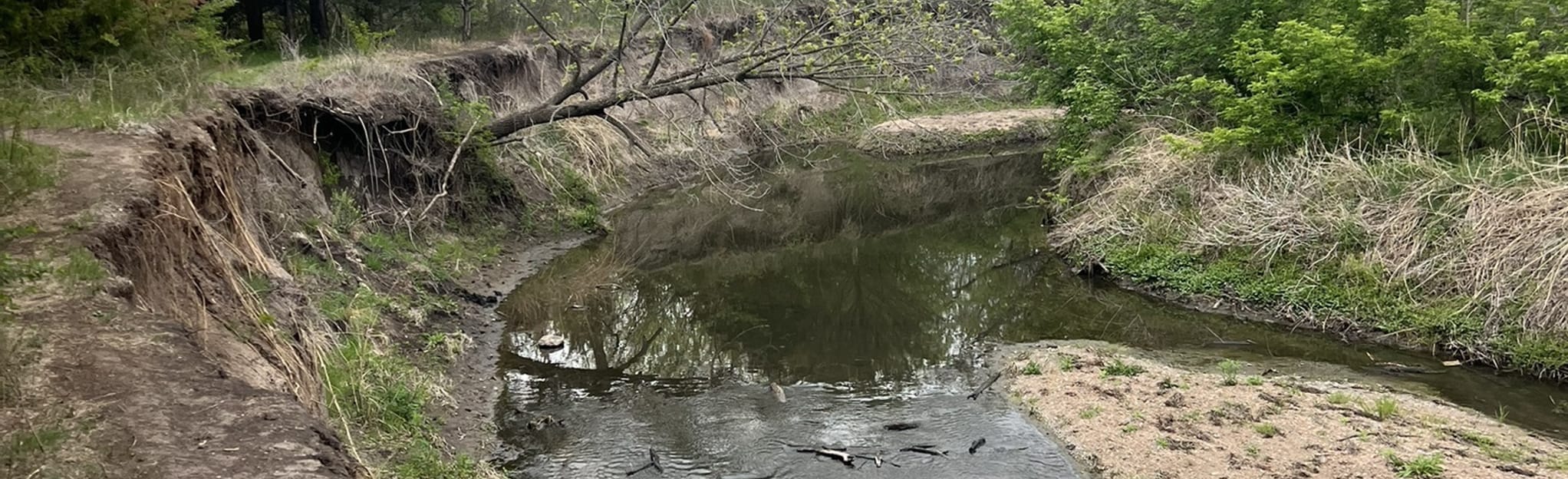 Pawnee Prairie Nature Park North Trail, Kansas - 169 Reviews, Map ...