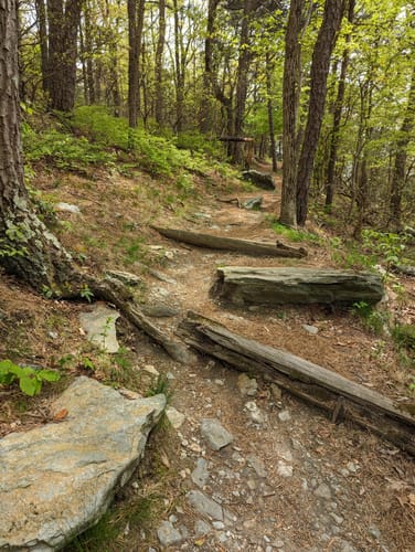 2023 Best Walking Trails in Gambrill State Park | AllTrails