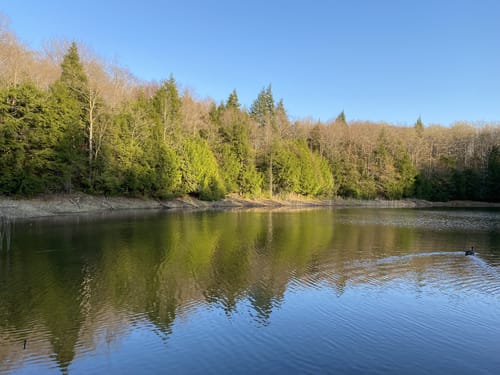 2023 Best Mountain Biking Trails in Pretty River Valley Provincial Park ...