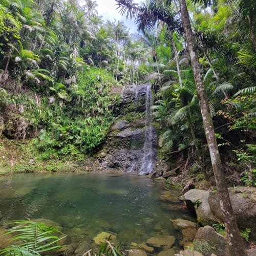 2023 Best River Trails in Guam | AllTrails