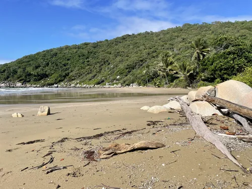Best Hikes and Trails in Cooktown Botanic Garden | AllTrails