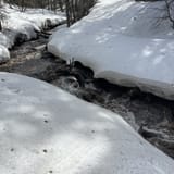 Red Lake Trail, Utah - 221 Reviews, Map | AllTrails