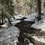 Red Lake Trail, Utah - 221 Reviews, Map | AllTrails