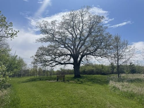 Best Hikes and Trails in Weldon Springs State Park | AllTrails