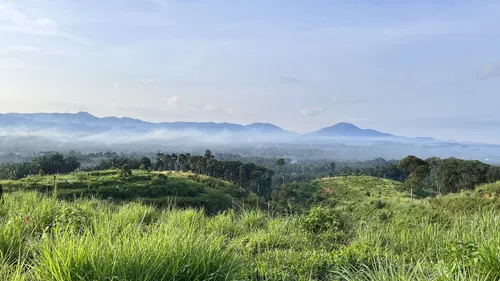2023 Best Walking Trails in Sungai Jawi | AllTrails