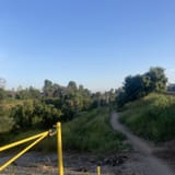 Lost Trail and Brea Dam Trail, California - 330 Reviews, Map | AllTrails