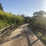 Lost Trail and Brea Dam Trail, California - 330 Reviews, Map | AllTrails