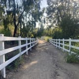 Lost Trail and Brea Dam Trail, California - 330 Reviews, Map | AllTrails