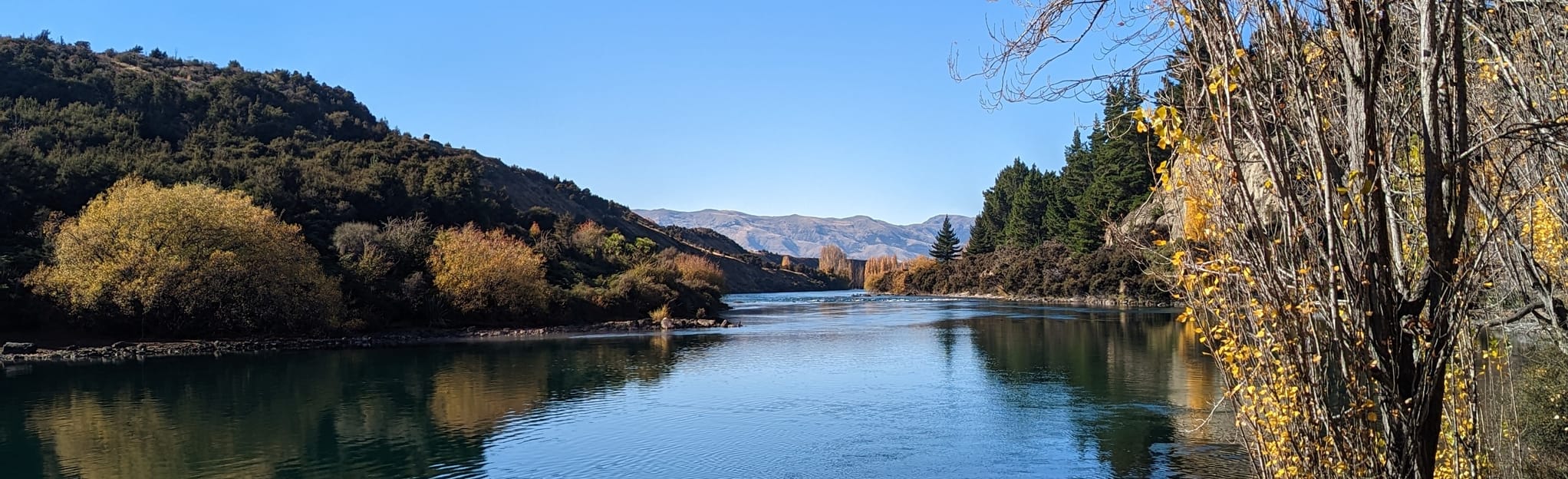 The Outlet Track: 209 Reviews, Map - Otago, New Zealand | AllTrails