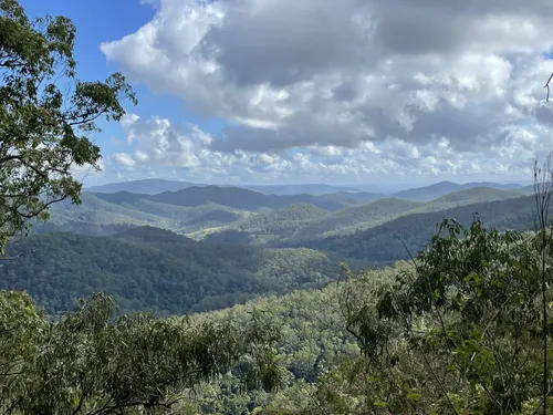 10 Best Trails and Hikes in Mount Mee | AllTrails