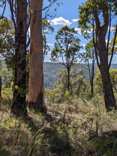 2023 Best Waterfall Trails in Kalamunda National Park | AllTrails