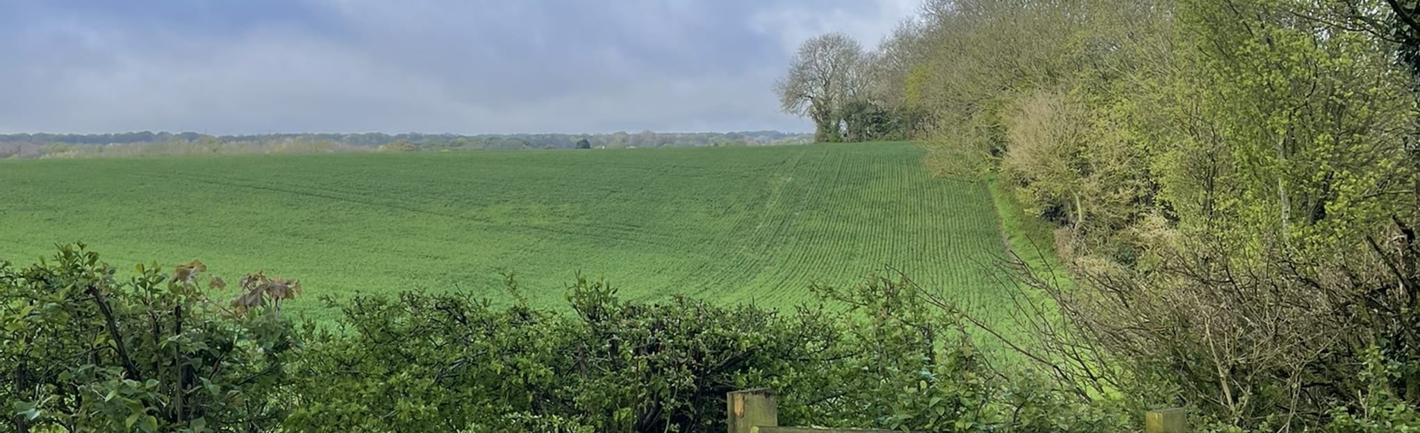 Capstone Farm Country Park MTB Circular: 19 Reviews, Map - Kent ...