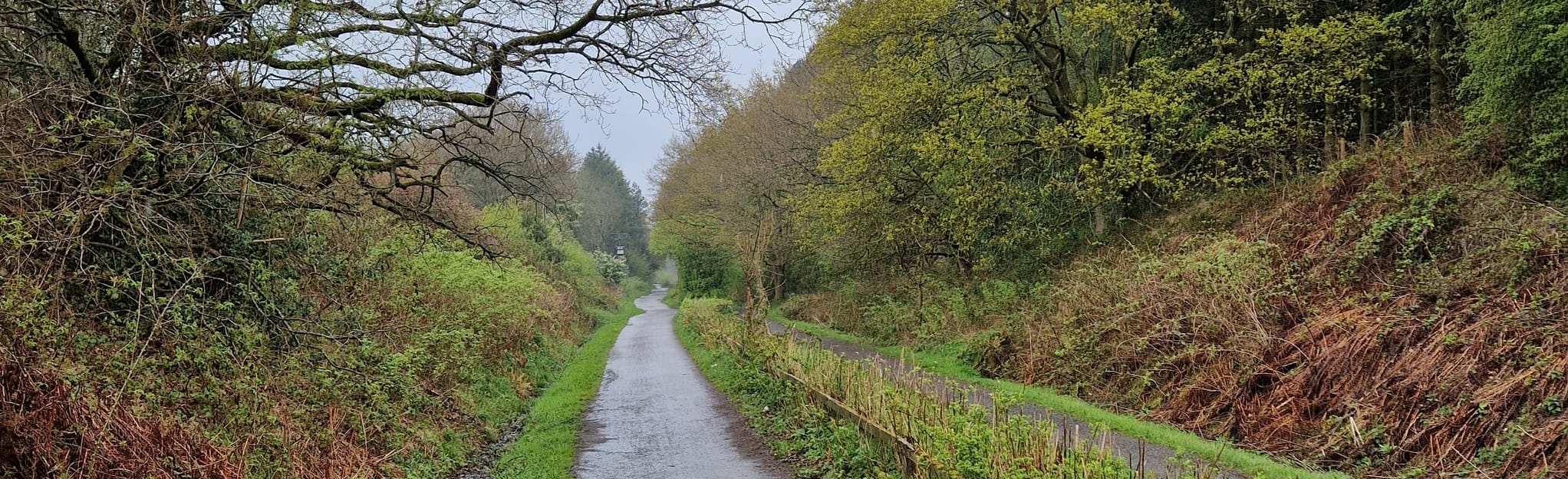 Middlewood Way: 65 Fotos - Greater Manchester, England | AllTrails