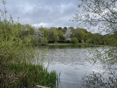 Best Hikes and Trails in Capstone Farm Country Park | AllTrails