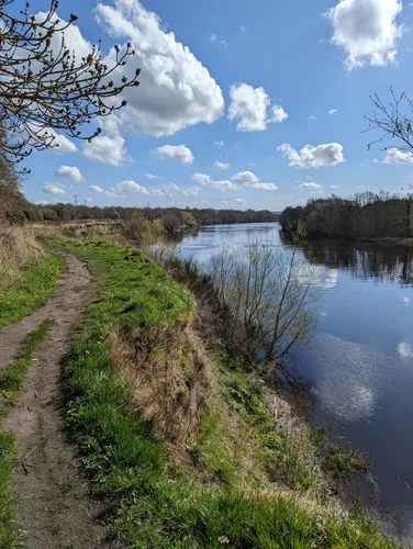 10 Best Trails, Walks, and Paths in Newcastle upon Tyne | AllTrails