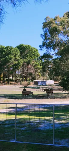 Best Hikes and Trails in Mariginiup | AllTrails