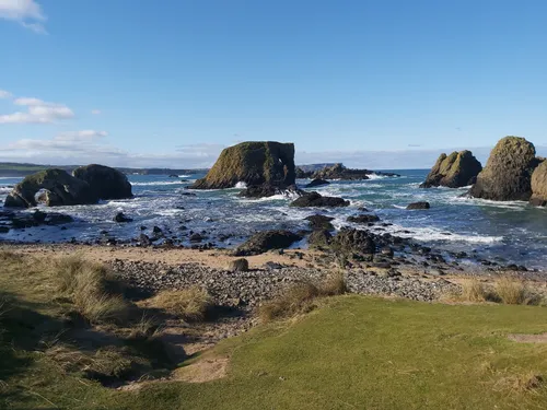 Best Wild Flowers Trails in Causeway Coast Strangford and Lecale ...