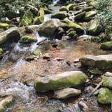 Cosby Nature Trail, Tennessee - 454 Reviews, Map | AllTrails