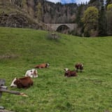 Ravenna Gorge Trail, Baden-Wuerttemberg, Germany - 343 Reviews, Map ...