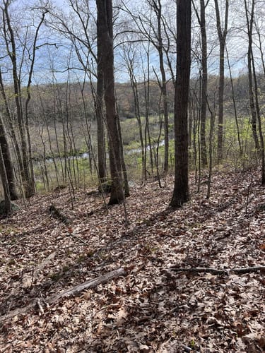 Best Hikes and Trails in Hewitt Farm | AllTrails